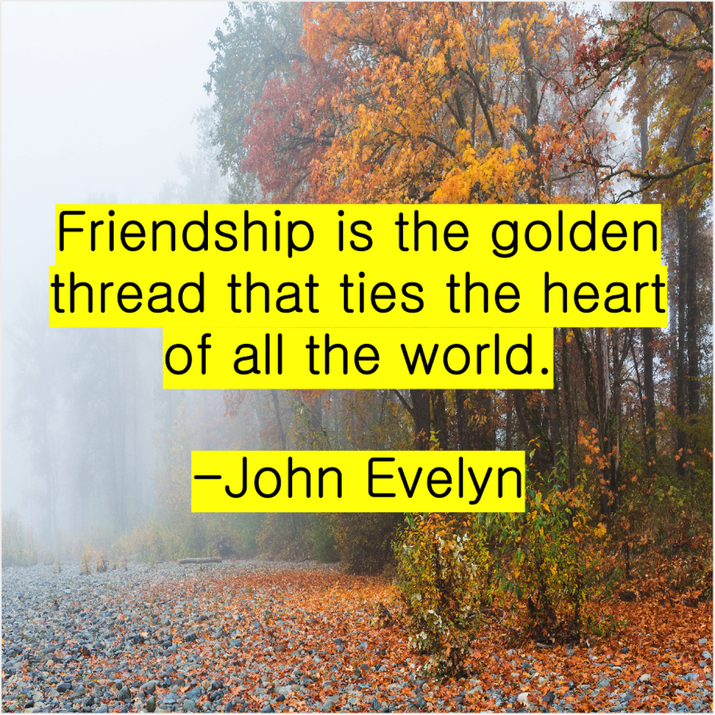 John Evelyn – Friendship is the golden thread… – Success Manifestation ...