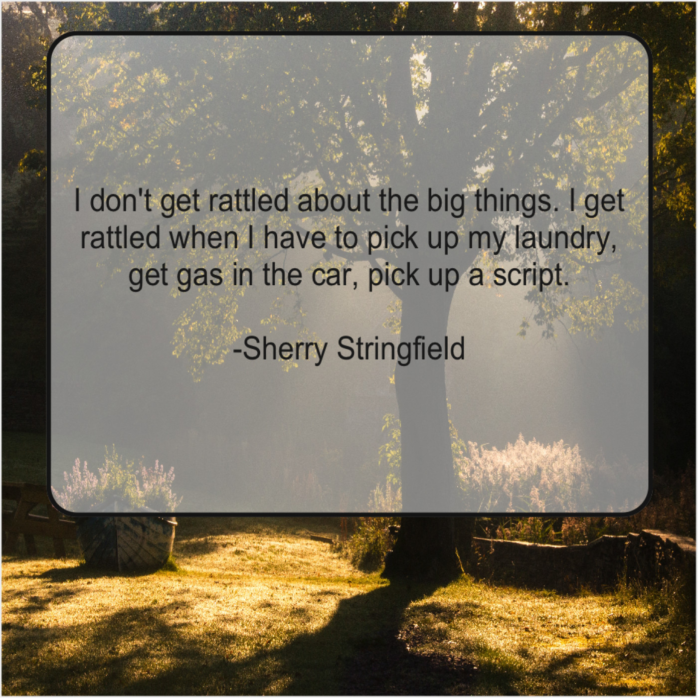 Sherry Stringfield – I don’t get rattled about… – Success Manifestation ...