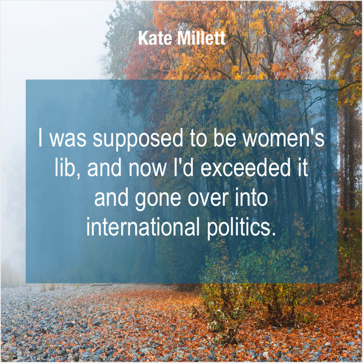 Kate Millett – I was supposed to be… – Success Manifestation Secrets