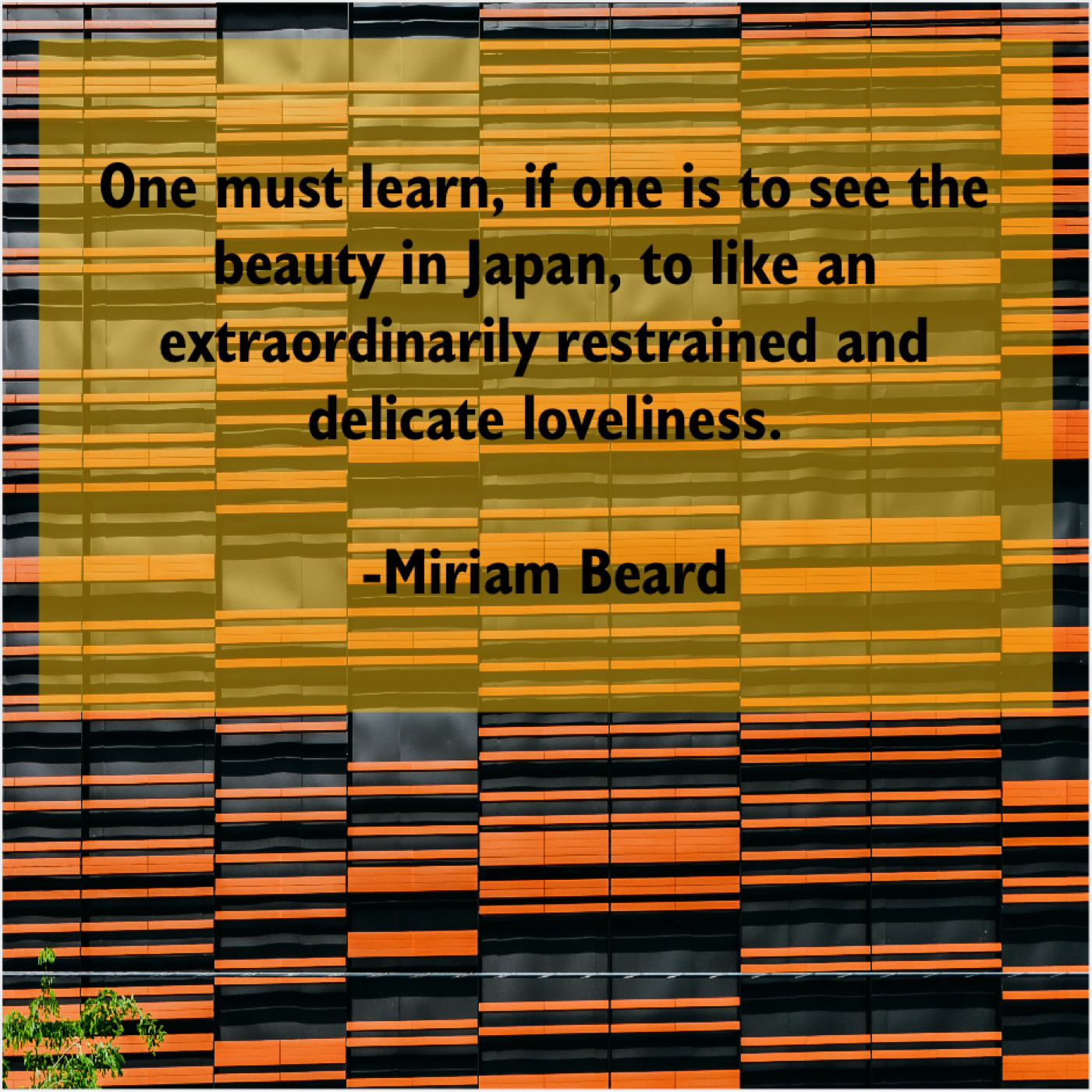 Miriam Beard – One must learn, if one… – Success Manifestation Secrets