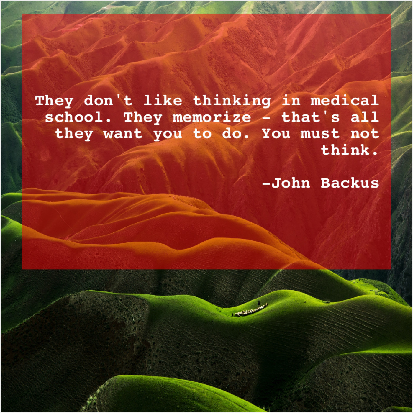 John Backus Quotes