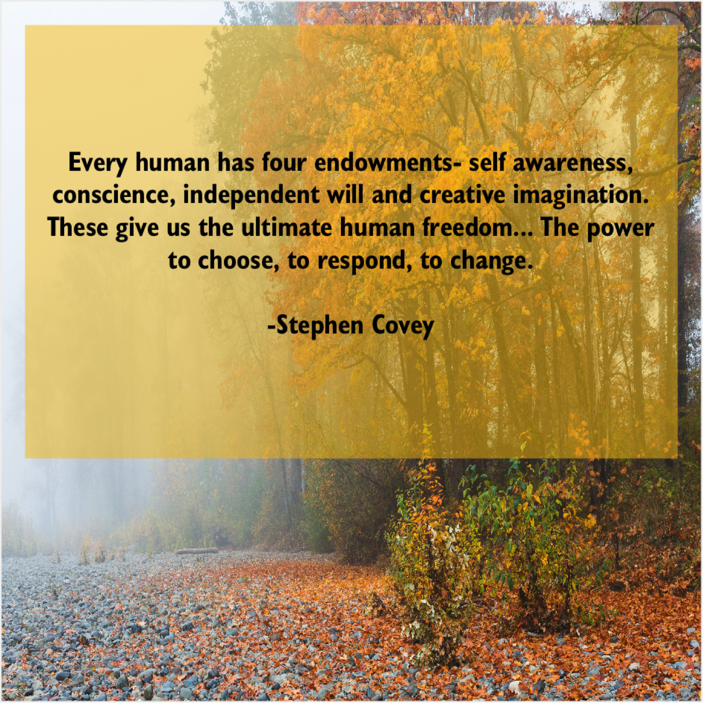 Stephen Covey – Every human has four endowments… – Success ...